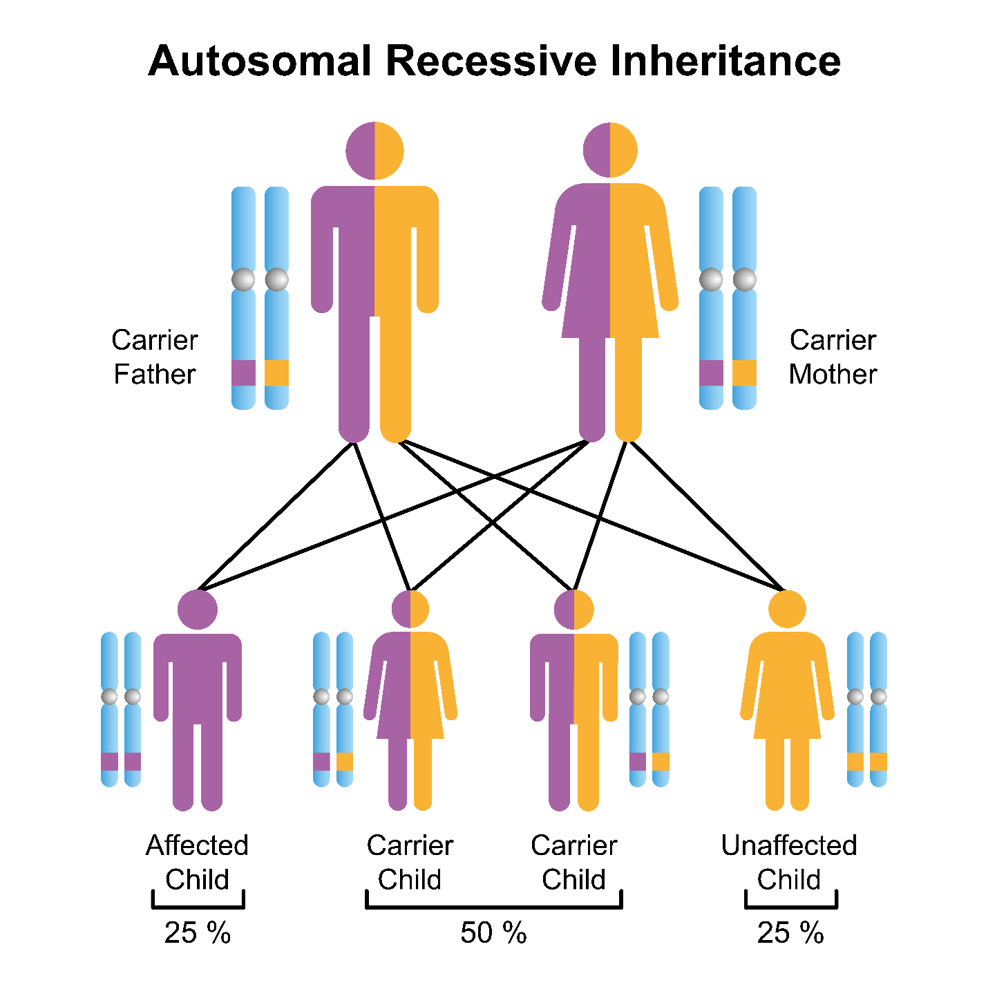 Friedreich Ataxia And Spinal Cord Injuries | Reeve Foundation